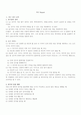 축구규칙 레포트 자료-1페이지