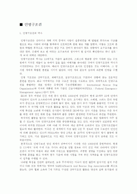 인명 구조견 레포트 자료-1페이지