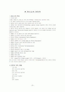 테니스에 대하여 [분석/조사]-1페이지