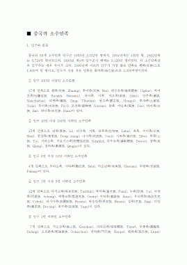 중국의 소수민족 언어 문자 소수민족 정책 인구-1페이지