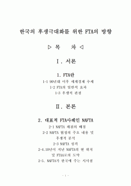 한국의 후생극대화를 위한 FTA의 방향-1페이지