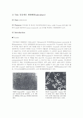 동물세포 계대배양(subculture)-1페이지