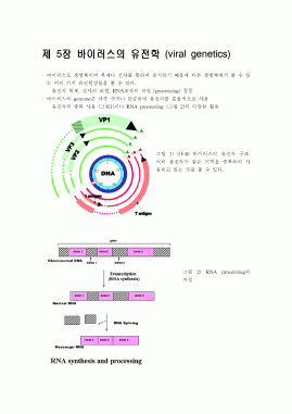 바이러스의 유전학-1페이지
