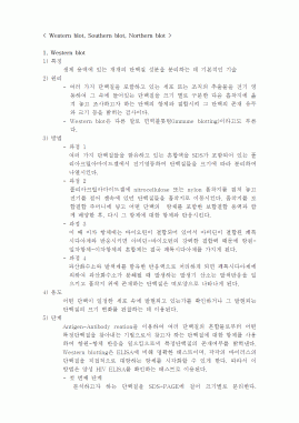 Western blot과 전기 영동-1페이지