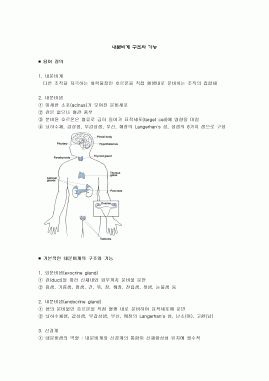 내분비계 구조와 기능 [논문] -1페이지