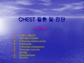 CHEST 질환 및 진단-1페이지