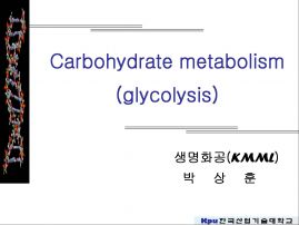 해당과정 glycolysis metabolism-1페이지