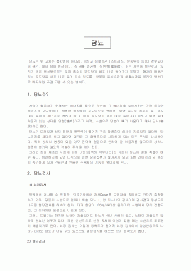 당뇨란 무엇인가?-1페이지