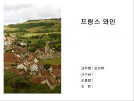 프랑스 와인 레포트 자료-1페이지