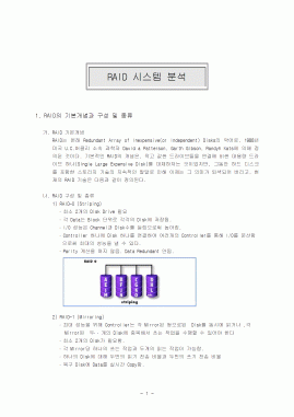RAID 시스템 분석 자료-1페이지