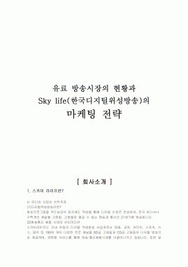 유료 방송시장의 현황과 Sky life(한국디지털위성방송)의 마케팅 전략-1페이지
