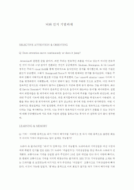 [인지심리,뇌와 인지,인지과학,뇌과학,심리] 뇌와 인지-1페이지