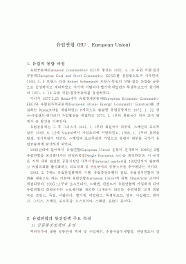 [국제]유럽연합 (EU , European Union)-1페이지