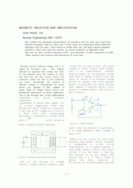 MAGNETIC INDUCTION AND AMPLIFICATION-1페이지