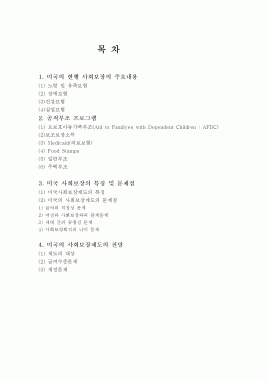 미국의 사회보장제도의 특징 문제점 및 전망-1페이지