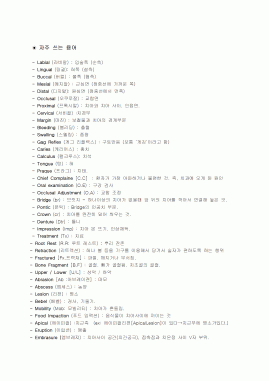 치과용어 및 치과치료에 대한 정리-1페이지