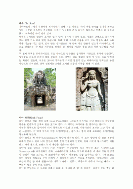 앙코르와트 레포트 자료-1페이지
