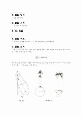 보다진자와 카터진자-1페이지