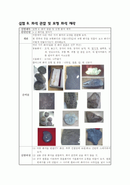화석 관찰 및 모형 화석 제작-1페이지