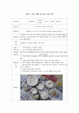 화석 관찰 및 화석 모형 제작 실험보고서-1페이지