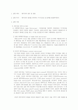 현미경의 원리 및 관찰-1페이지