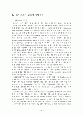 촉매 RNA 레포트 자료-1페이지