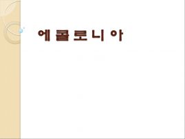 건축 환경학 에콜로니아 테마별 분석-1페이지