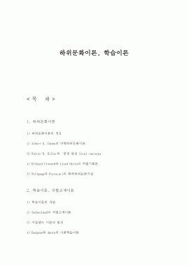 하위문화이론과 학습이론-1페이지