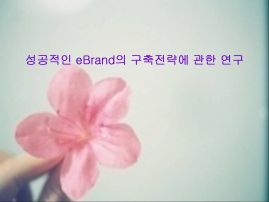 성공적인 eBrand의 구축전략에 관한 연구-1페이지