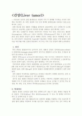 간암 케이스 레포트 자료-1페이지