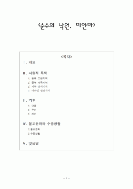 미얀마의 자연환경과 문화-1페이지