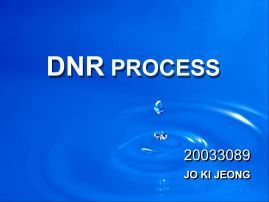 하수고도처리기술(DNR공정)-1페이지