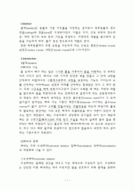 근육및골격 레포트 자료-1페이지