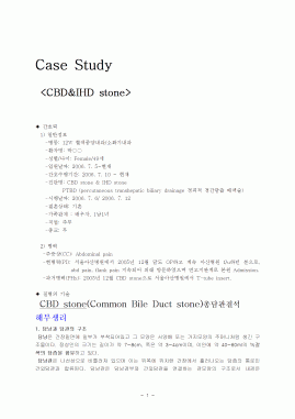<CBD&IHD stone> 레포트 자료-1페이지