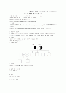 GB/CBD stone 케이스 스터디-1페이지