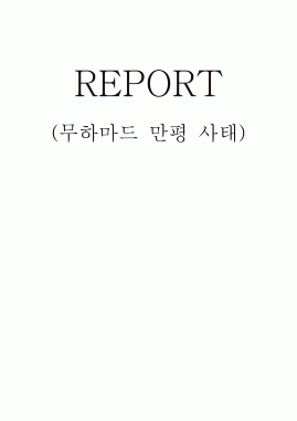 무하마드만평사태-1페이지