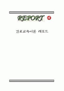 [간호이론]간호이론 발달사, 간호이론가 메타파라다임(인간,환경,간호,건강), 간호이론-1페이지