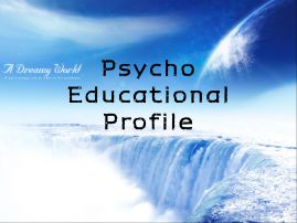 Psycho Educational Profile - PEP  검사도구-1페이지