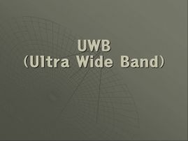UWB의 ppt자료 레포트-1페이지