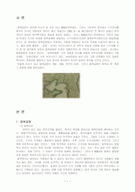 동북공정을 둘러싼 한중갈등-1페이지