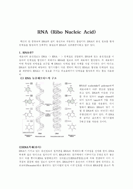 RNA (Ribo Nucleic Acid)-1페이지
