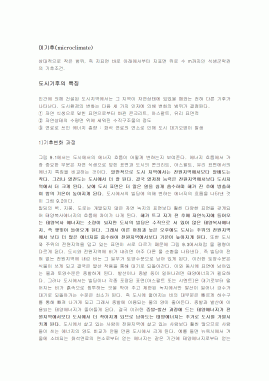도시열섬및 도시미기후-1페이지