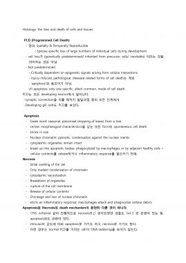 Histology 레포트 자료-1페이지