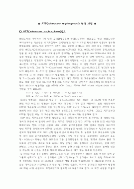 ATP(adenosine triphosphate)의 합성과정-1페이지