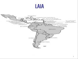 LAIA(라틴아메리카통합연합)-1페이지