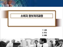 소비자 정보처리과정fp-1페이지