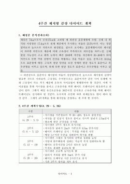 4주간 체지방 감량 다이어트 계획-1페이지