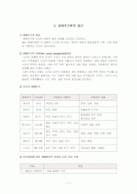생애주기론적접근-1페이지