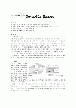 Reynolds Number 레포트 자료-1페이지