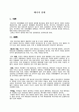 에너지 실태 보고-1페이지